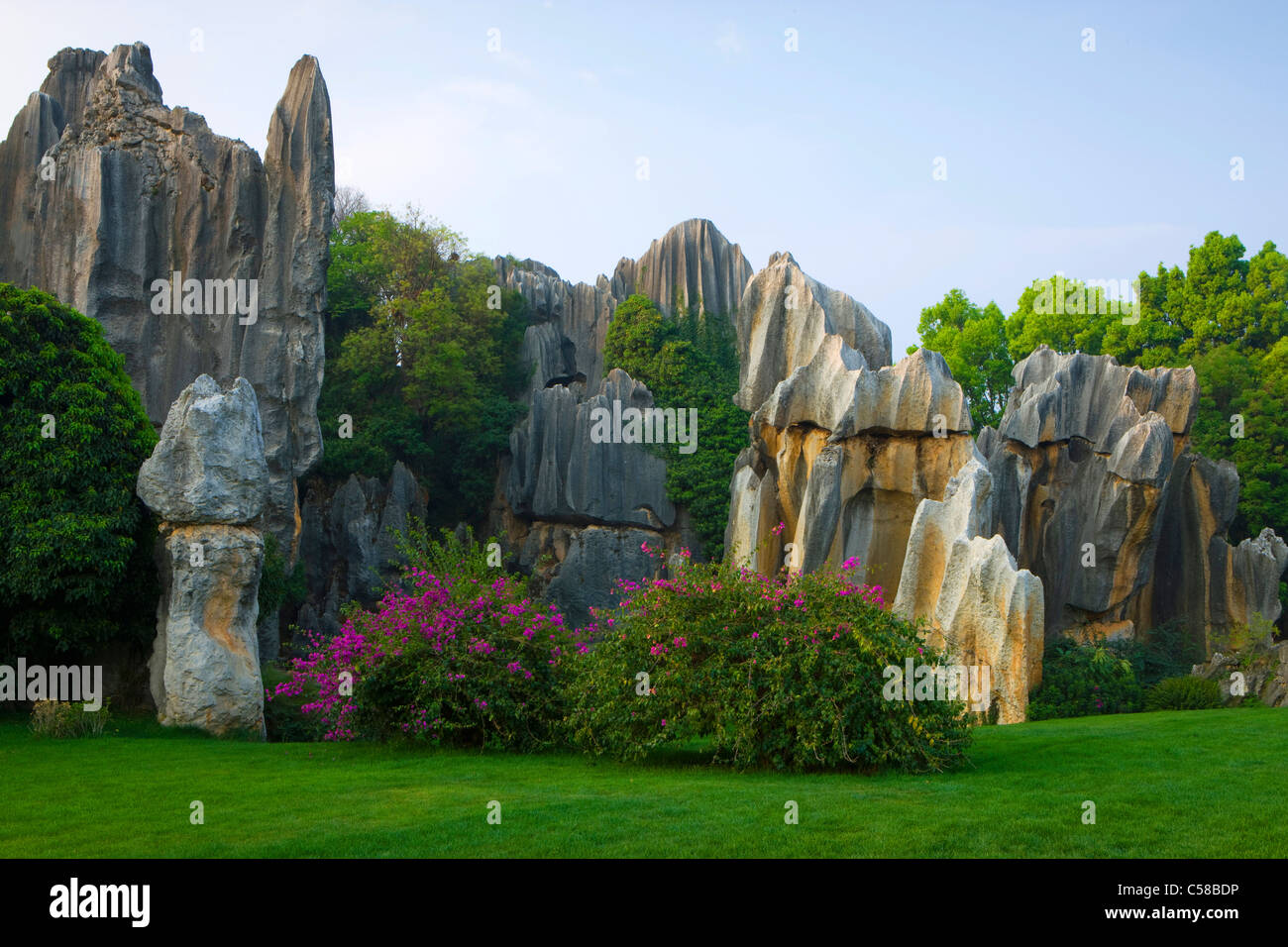Shilin Stone Forest, China, Asia, stone wood, cliff forms, erosion ...