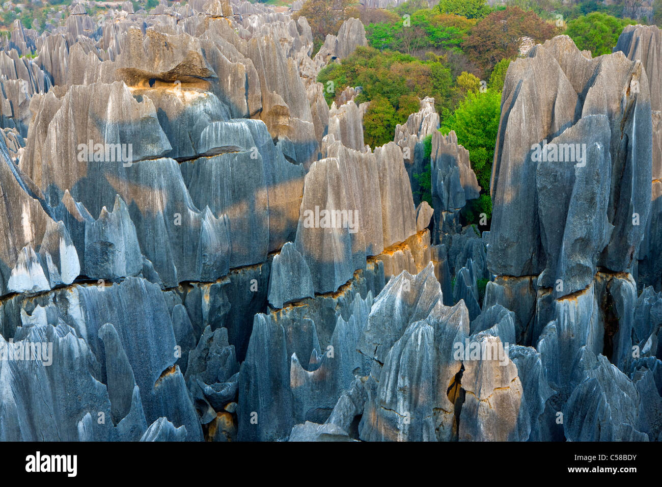 Shilin Stone Forest, China, Asia, stone wood, cliff forms, cliff ...