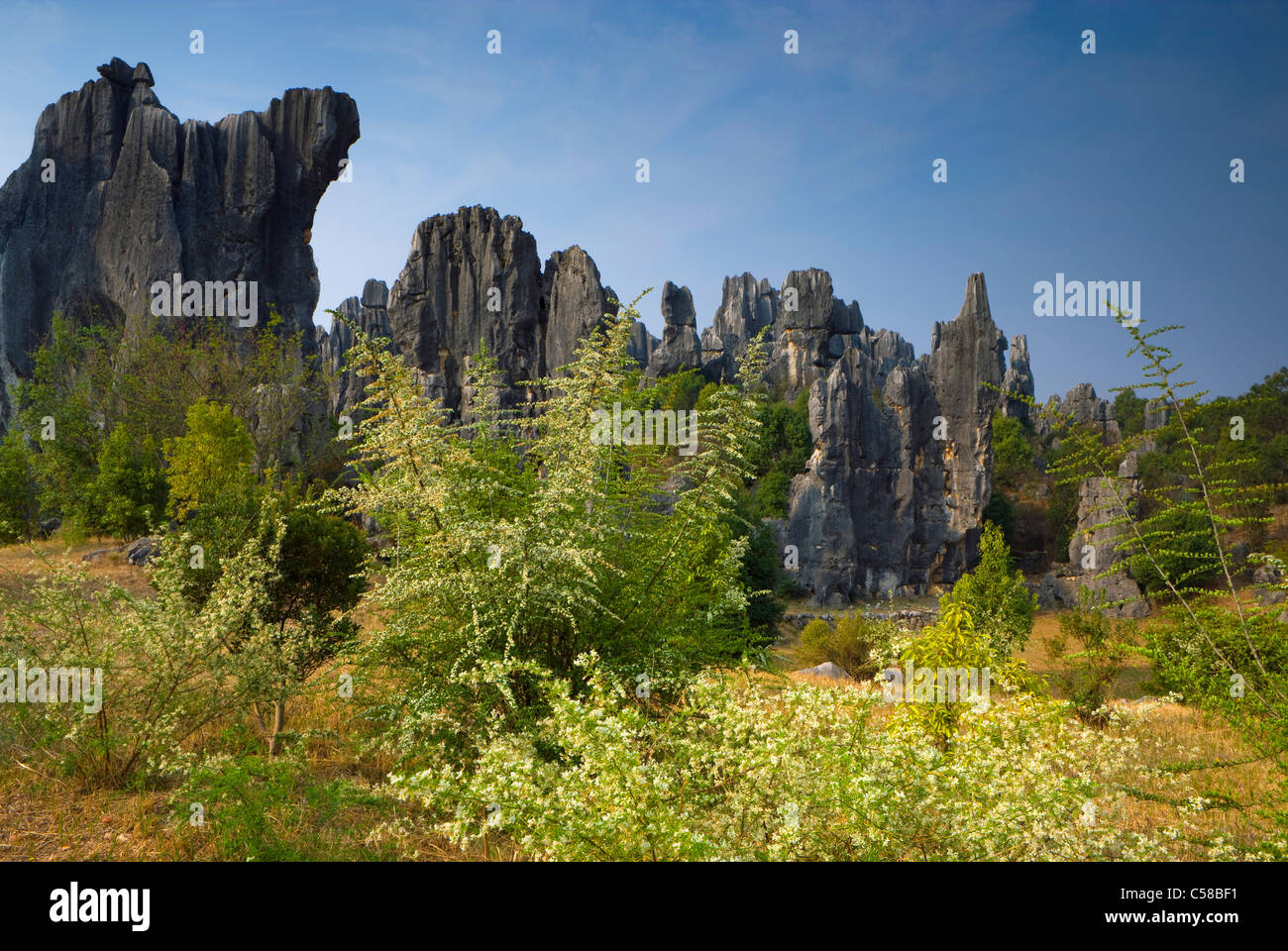 Shilin Stone Forest, China, Asia, stone wood, cliff forms, cliff towers ...