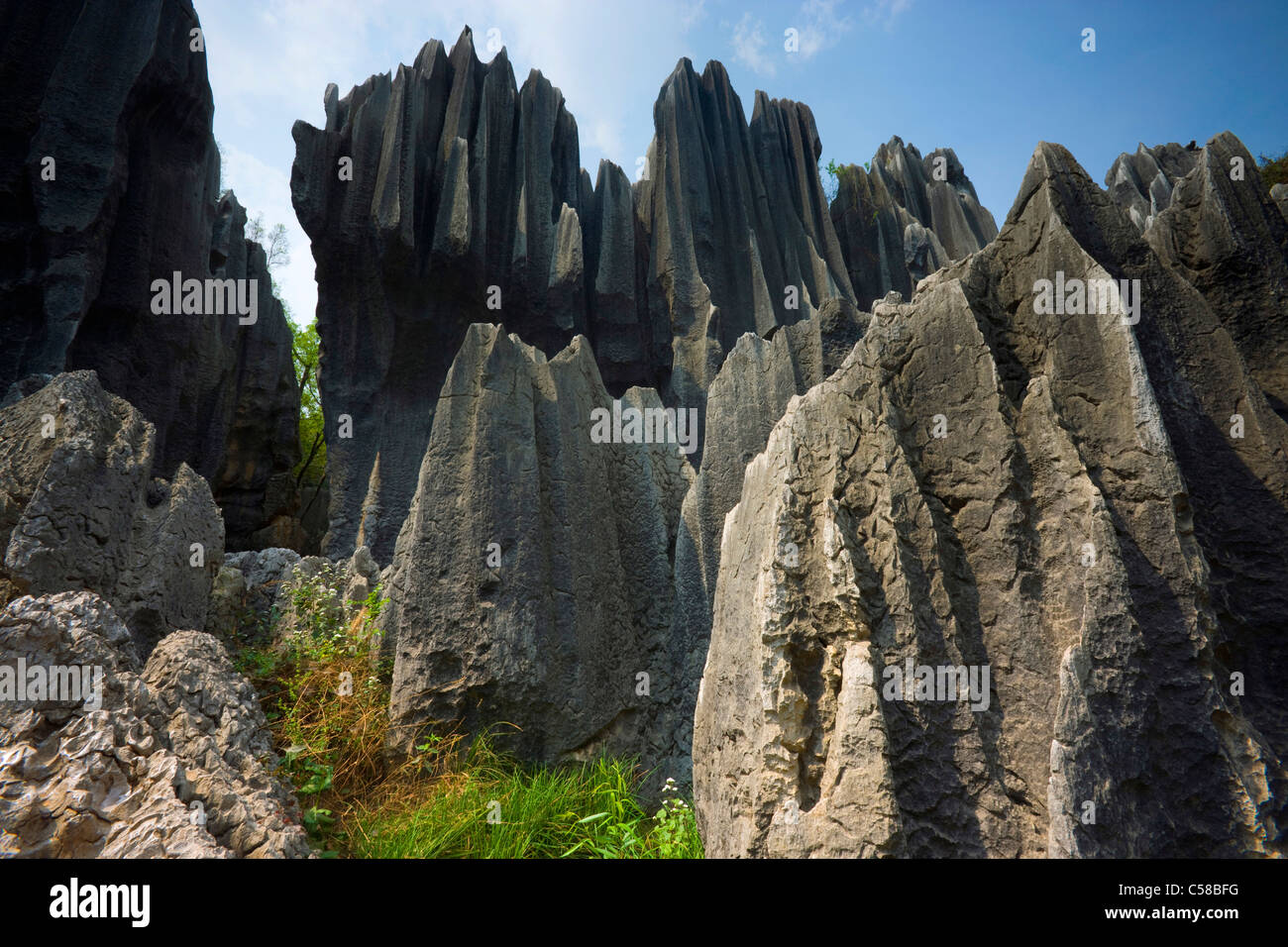 Shilin Stone Forest, China, Asia, stone wood, cliff forms, cliff ...