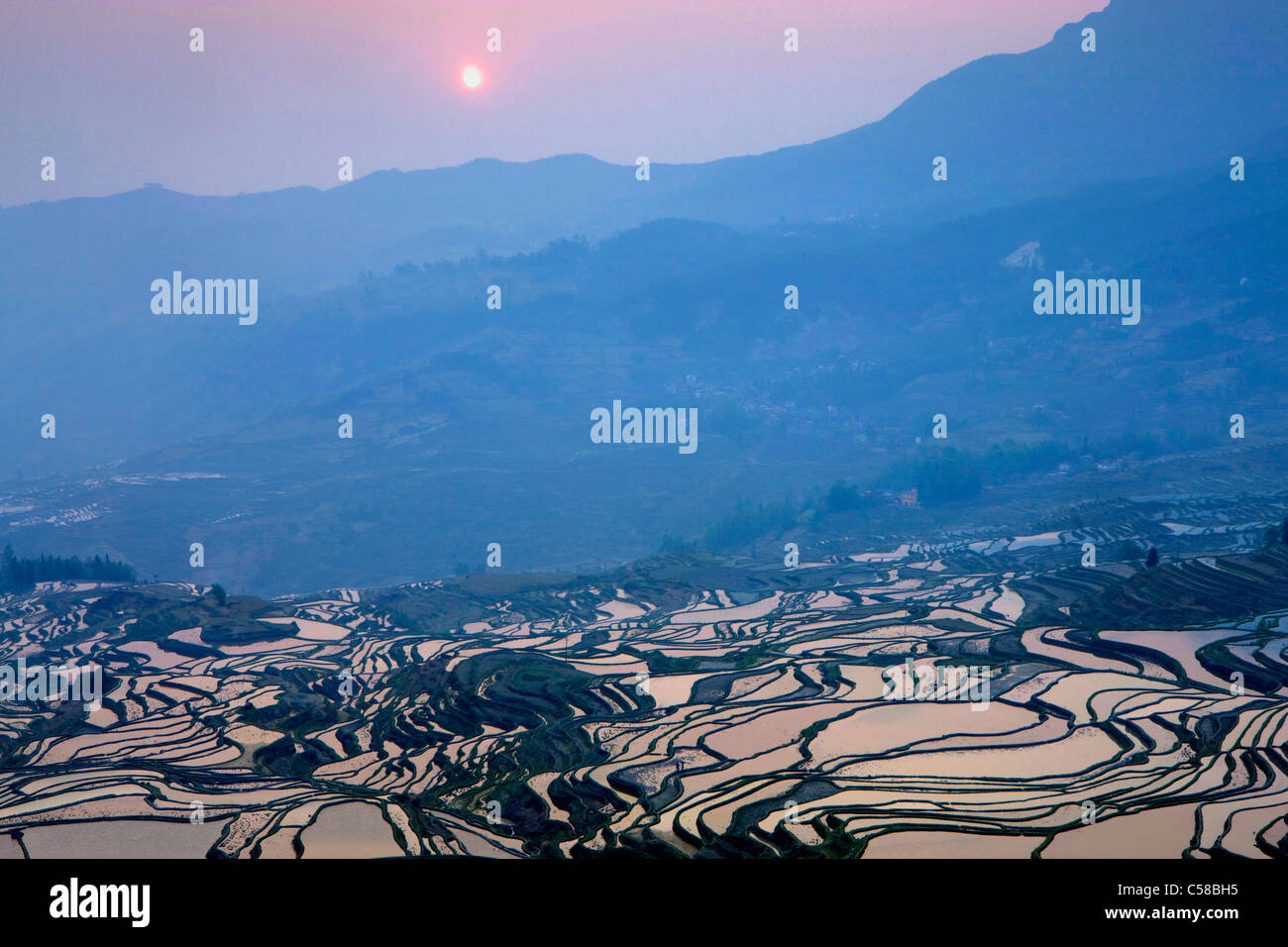 Yuanyang, China, Asia, rice terraces, growing of rice, rice fields ...