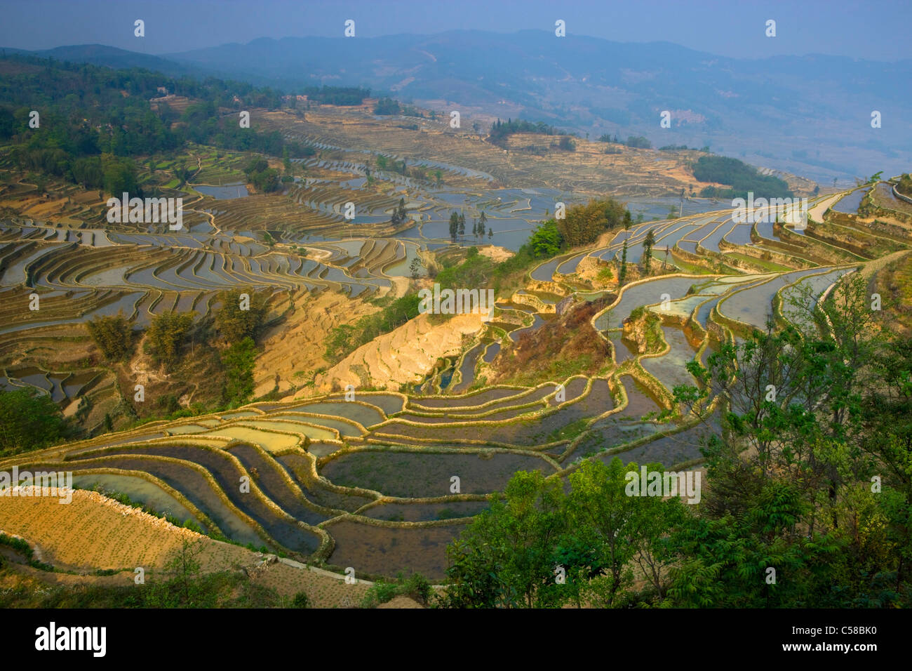 Yuanyang, China, Asia, rice terraces, growing of rice, rice fields ...