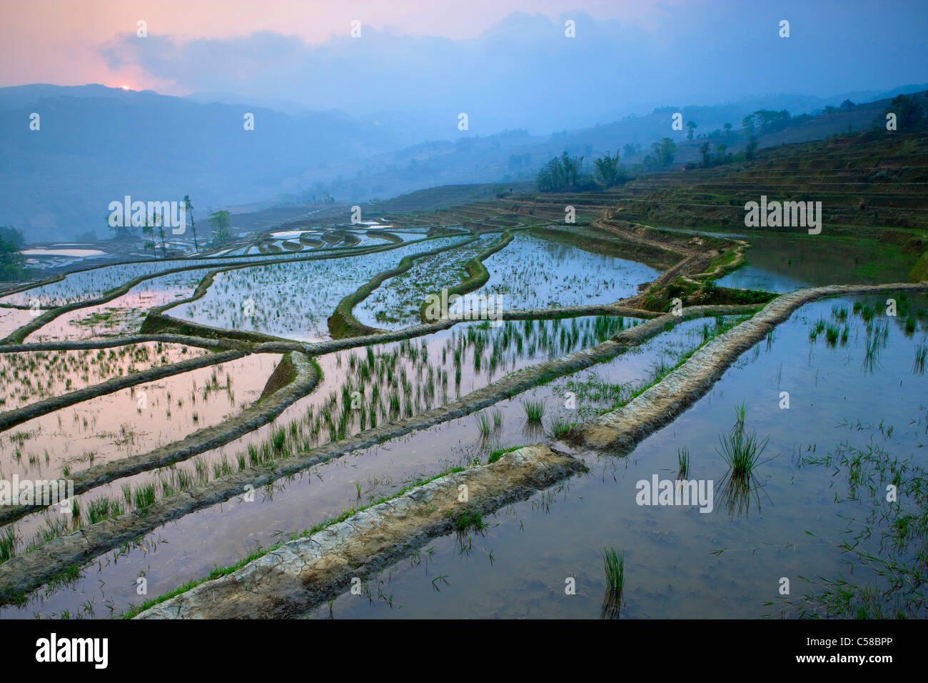 Yuanyang rice terraces hi-res stock photography and images - Alamy