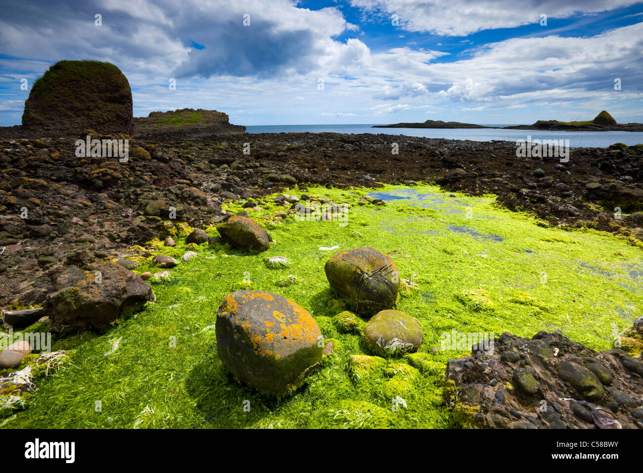 Catterline, Great Britain, Scotland, Europe, sea, coast, cliff coast ...