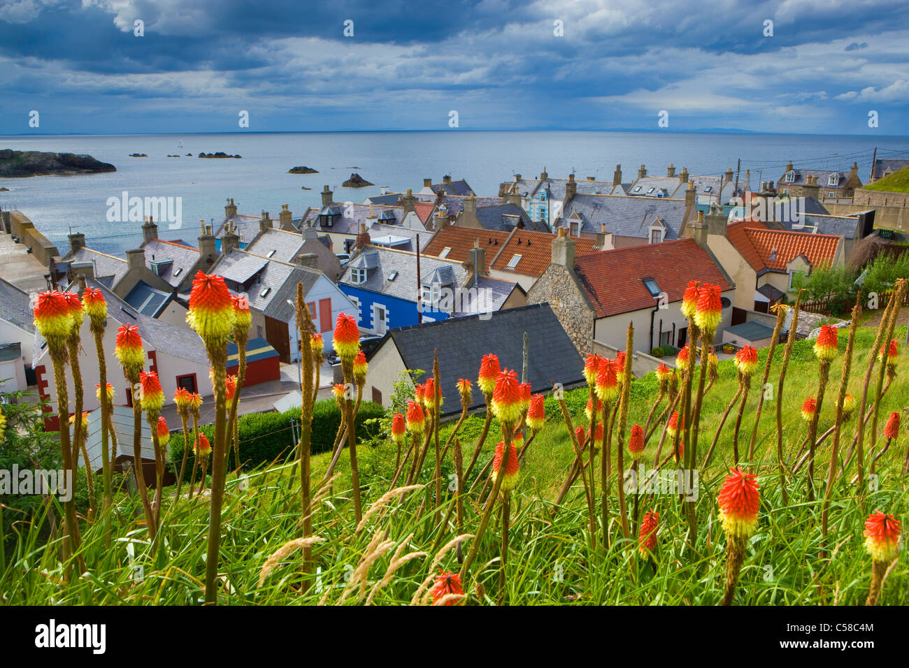 Findochty, Great Britain, Scotland, Europe, sea, village, houses, homes ...