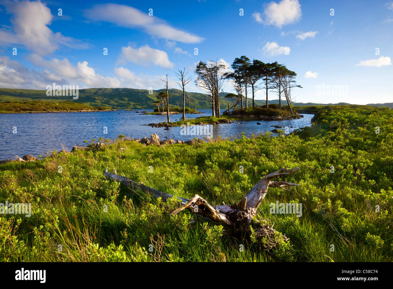 Loch assynt hi-res stock photography and images - Alamy