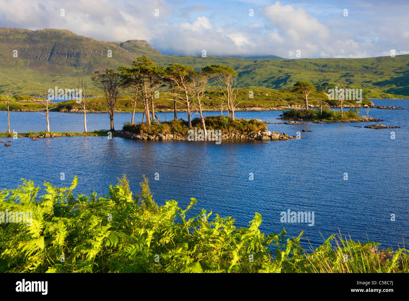 Loch Assynt, Great Britain, Scotland, Europe, sea, coast, island, isle ...