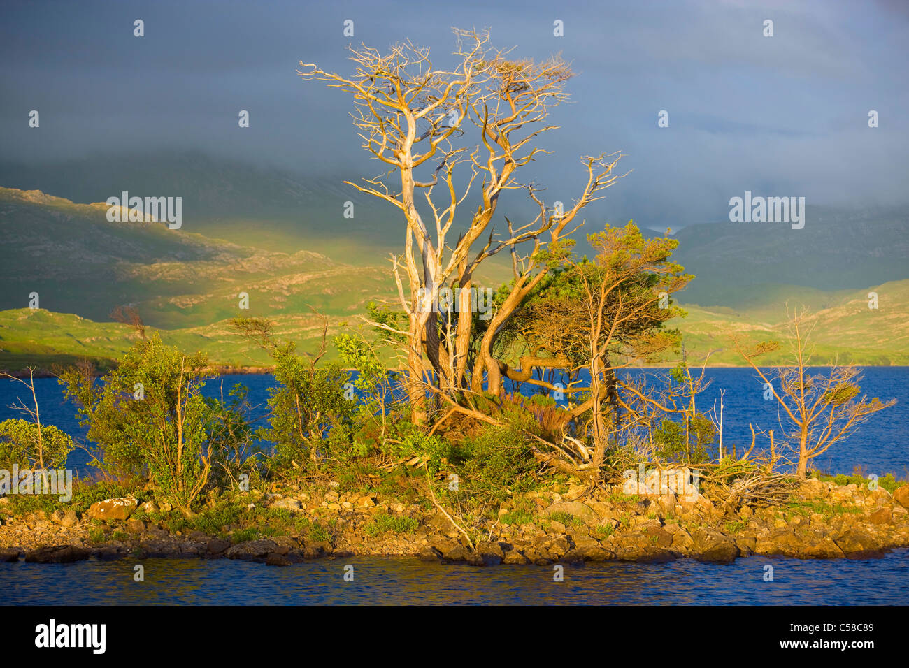 Loch Assynt, Great Britain, Scotland, Europe, sea, coast, island, isle ...