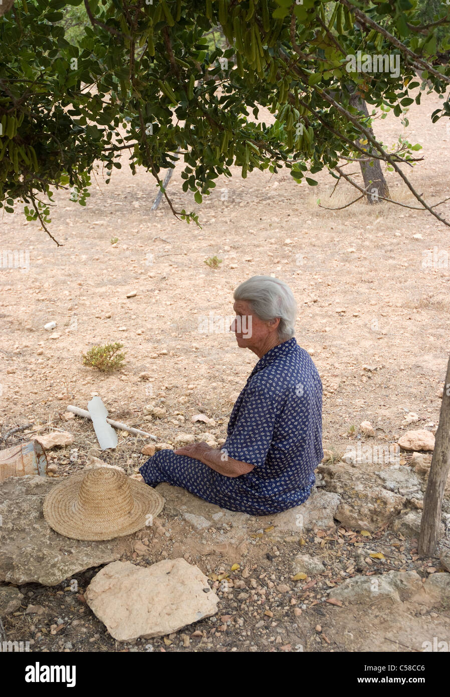 traditional authentic Catalonian goat keeper/herder taking a rest under ...
