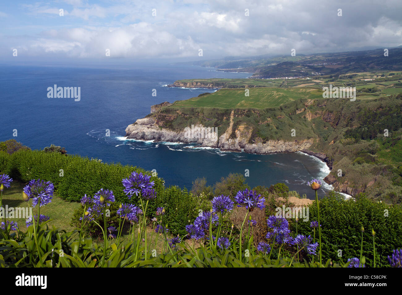 Azores summer hi-res stock photography and images - Alamy