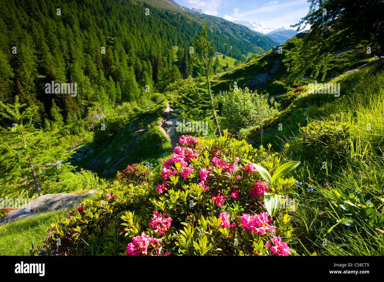 Valley of Binn, Switzerland, Europe, canton Valais, nature reserve ...