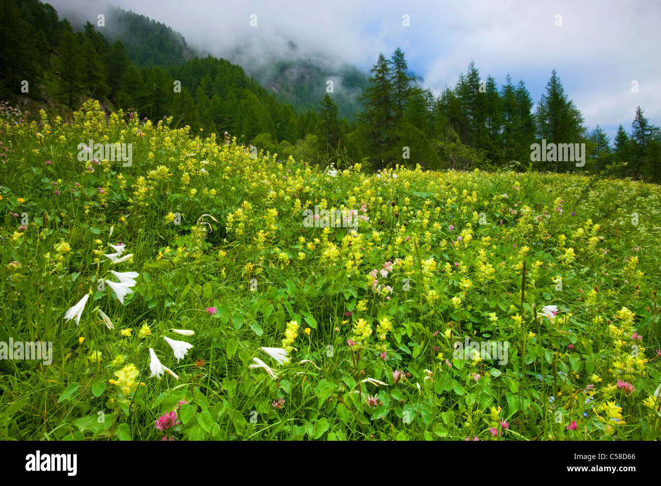 La Forclaz, Switzerland, Europe, canton Valais, nature reserve Val d ...