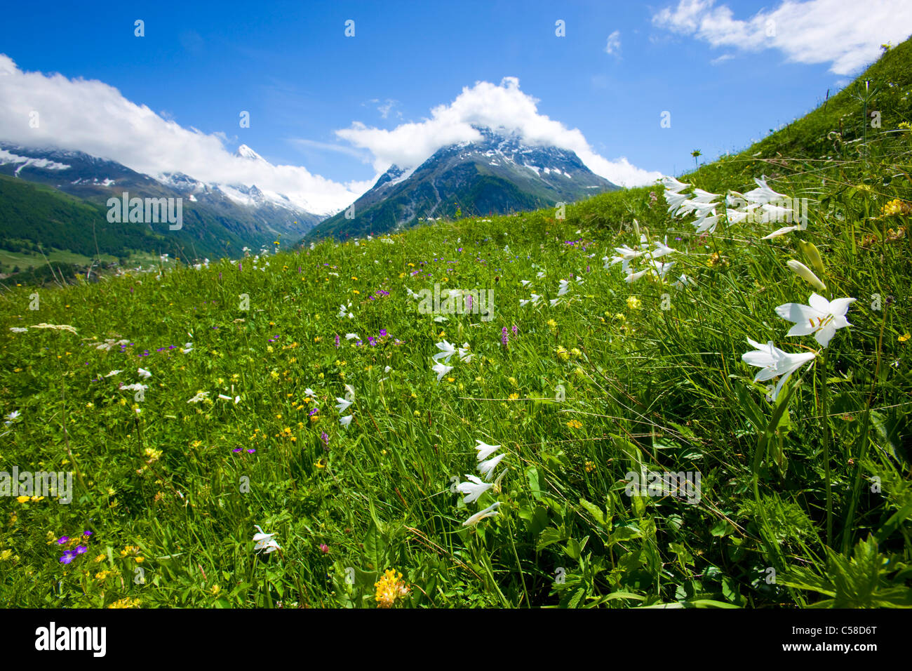 La Giette, Switzerland, Europe, canton Valais, nature reserve Val d ...