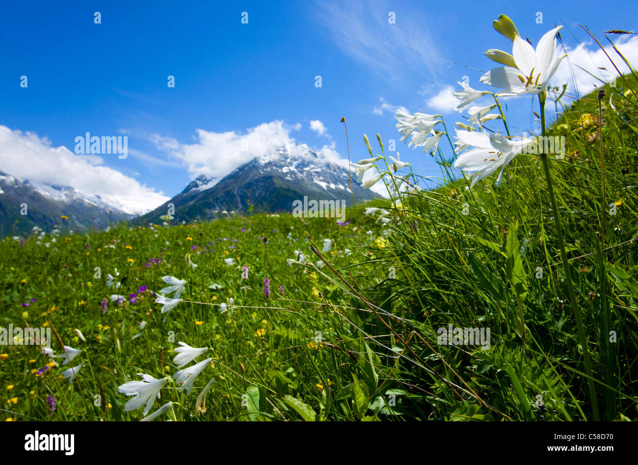 La Giette, Switzerland, Europe, canton Valais, nature reserve Val d ...