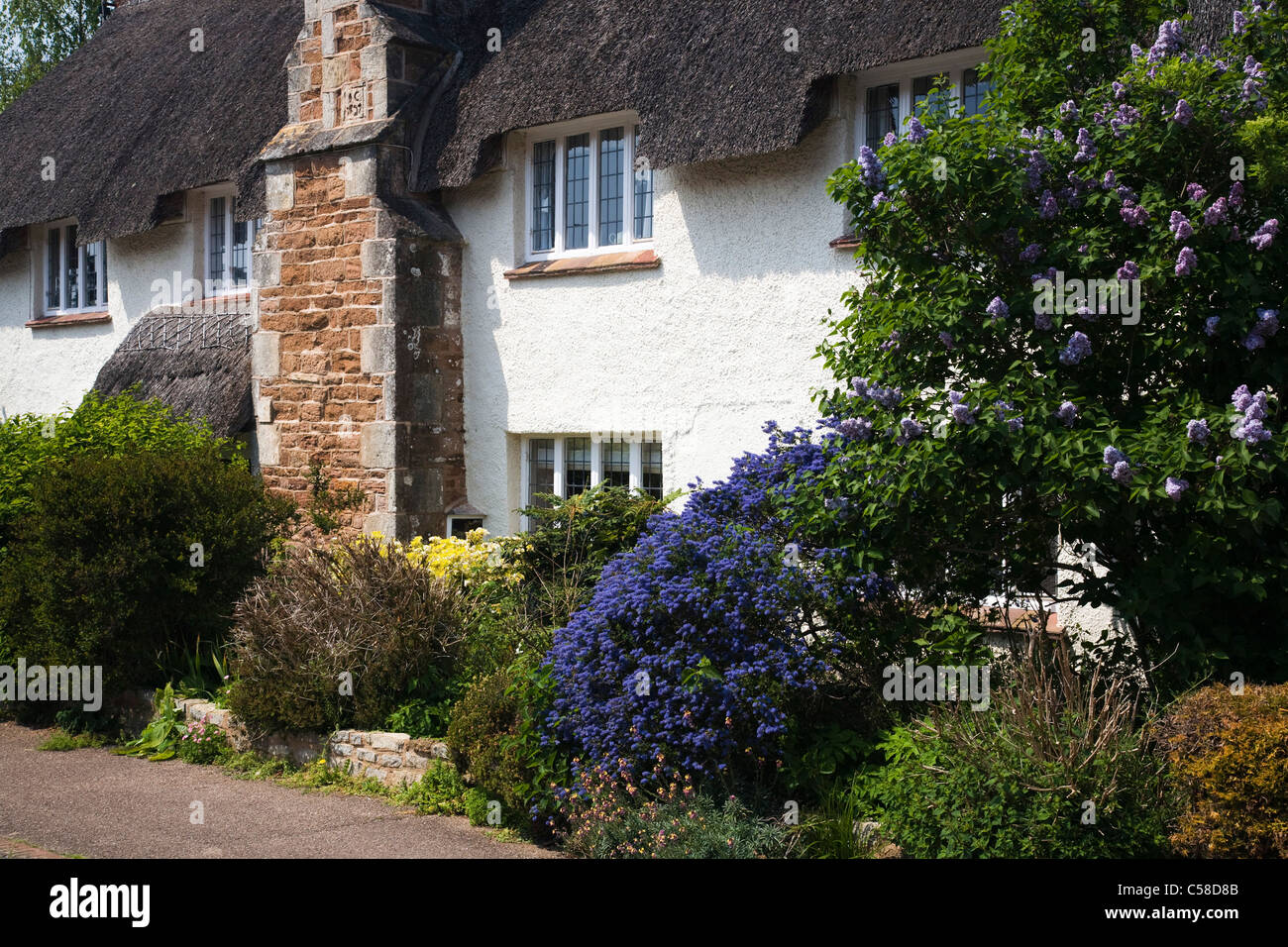 Cottages in Otterton, Devon, England Stock Photo - Alamy