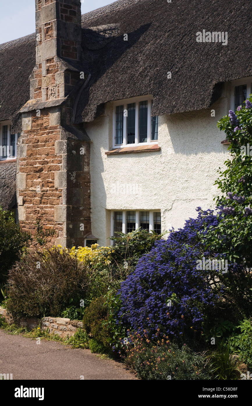 Cottages in Otterton, Devon, England Stock Photo - Alamy
