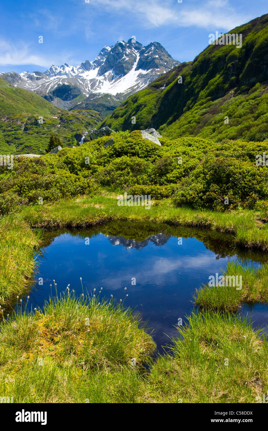 Ofenhorn, Switzerland, Europe, canton Valais, nature reserve valley of ...