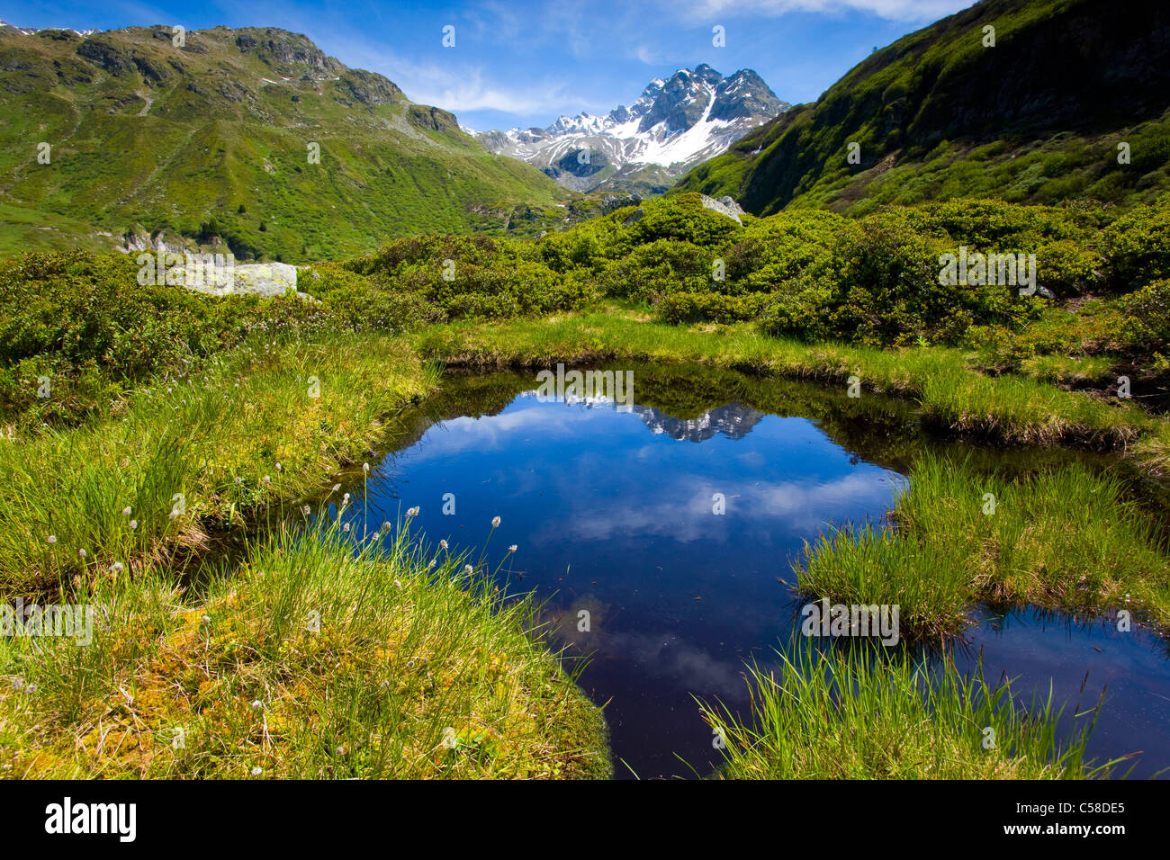 Ofenhorn, Switzerland, Europe, canton Valais, nature reserve valley of ...