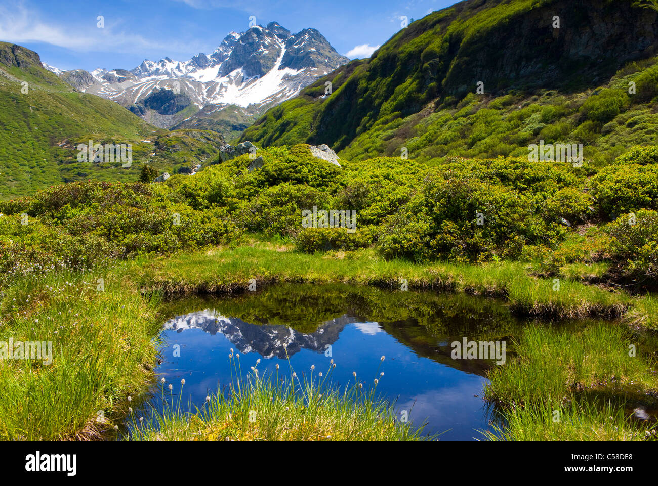 Ofenhorn, Switzerland, Europe, canton Valais, nature reserve valley of ...