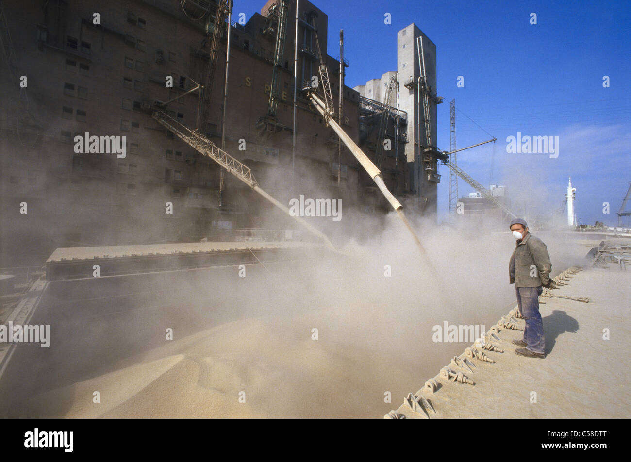 food, foods, foodstuffs, food industry, grain, grains, import, export ...