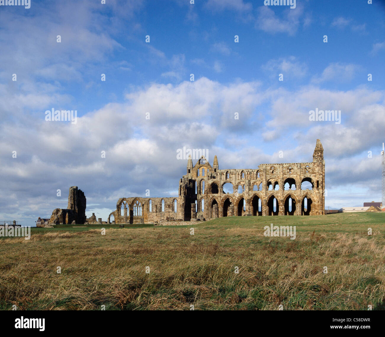 Whitby Abbey. General view of the Abbey from the south Stock Photo - Alamy