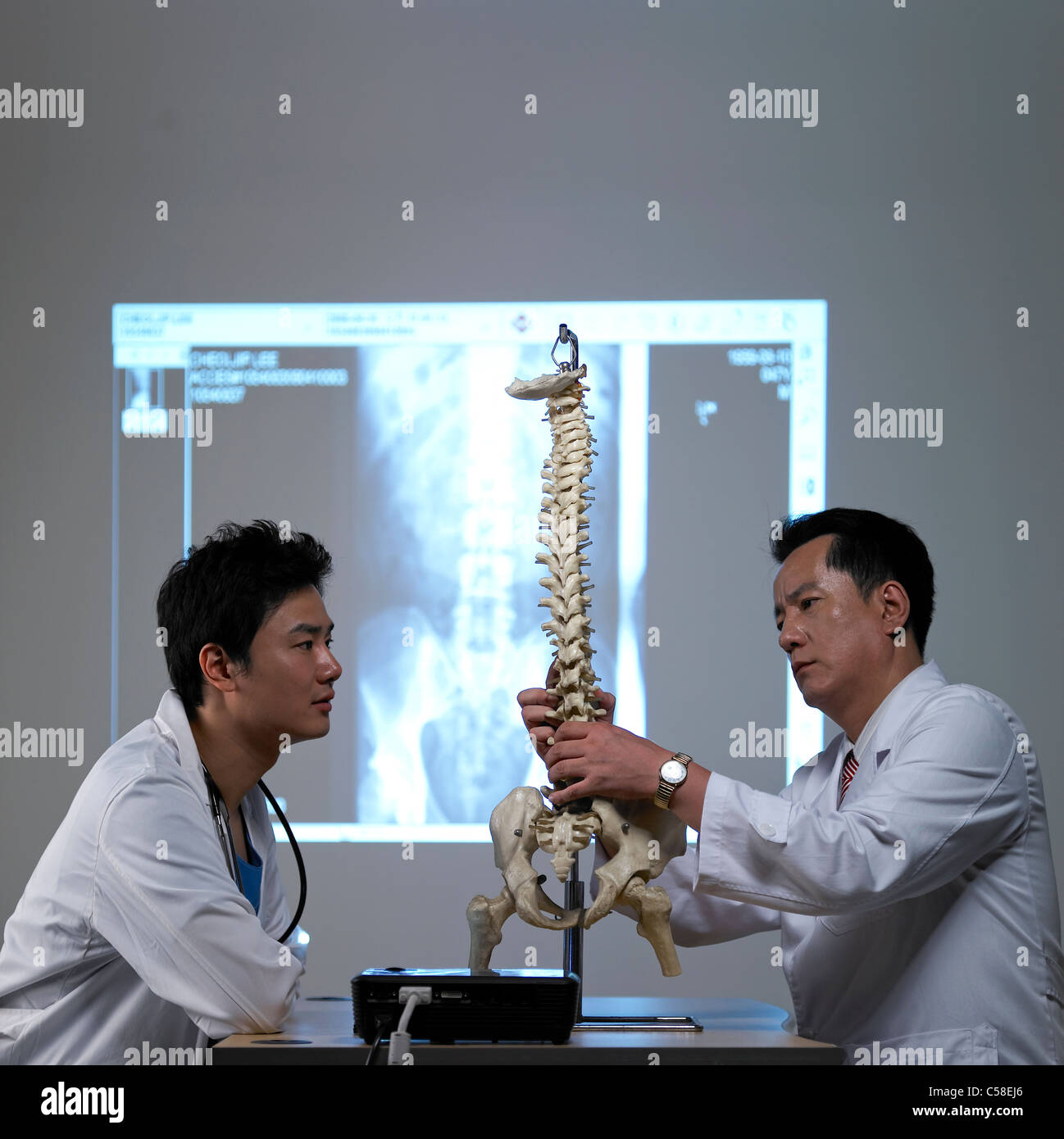 Doctors Looking at spine model in examination room Stock Photo - Alamy