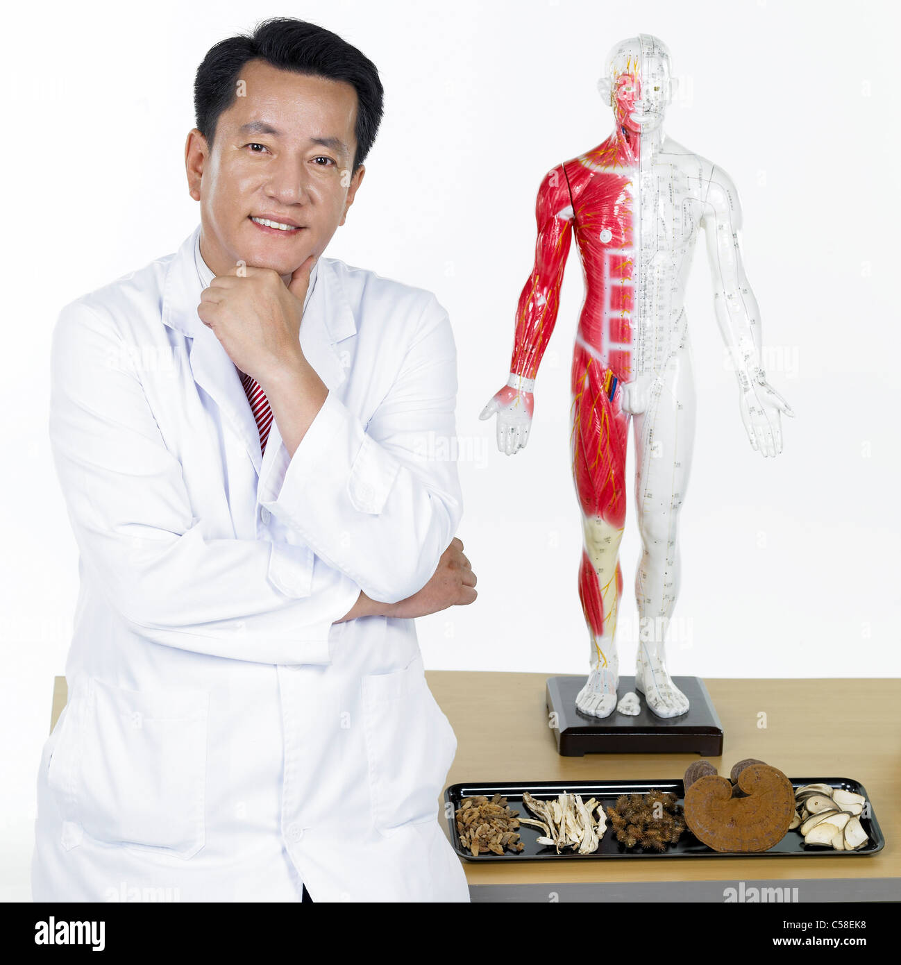 Portrait of doctor standing by anatomical model Stock Photo - Alamy