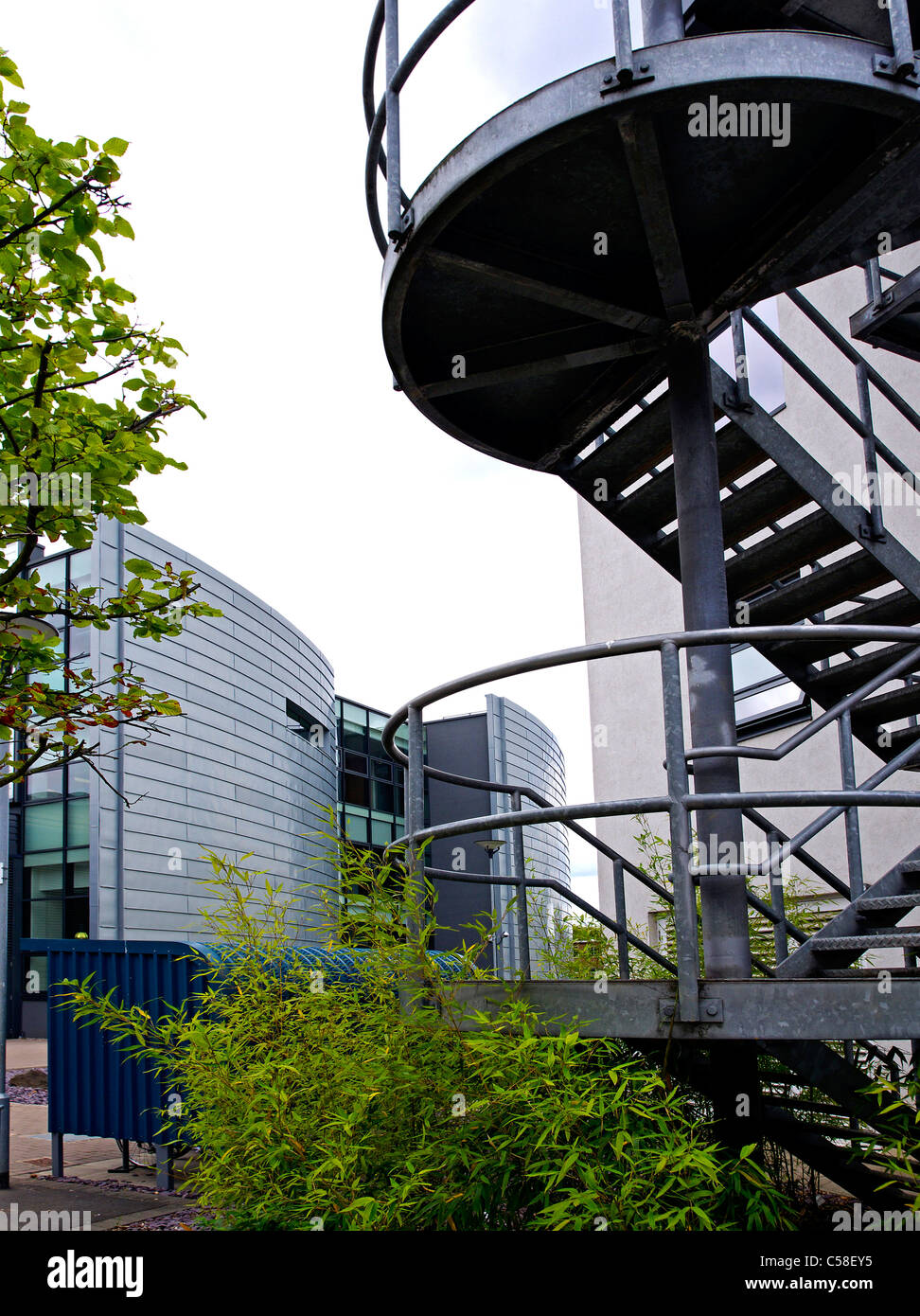 Steel building designed by David Morley Associates contains special ...