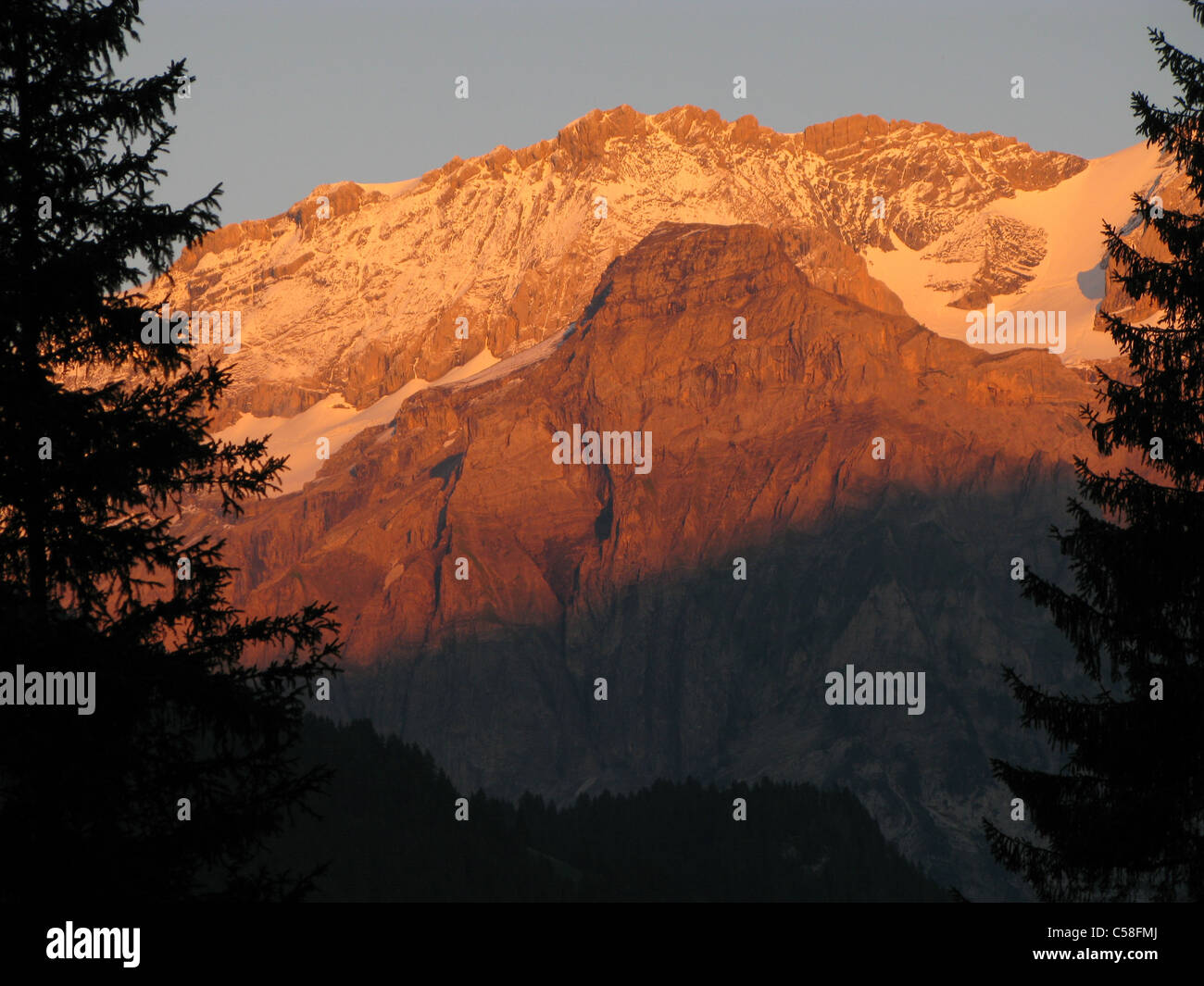 Switzerland, canton Bern, Simmental, mountains, wood, forest ...