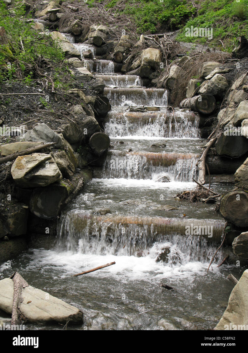 Switzerland, canton Bern, Simmental, creek, steps, wood, forest, brook ...