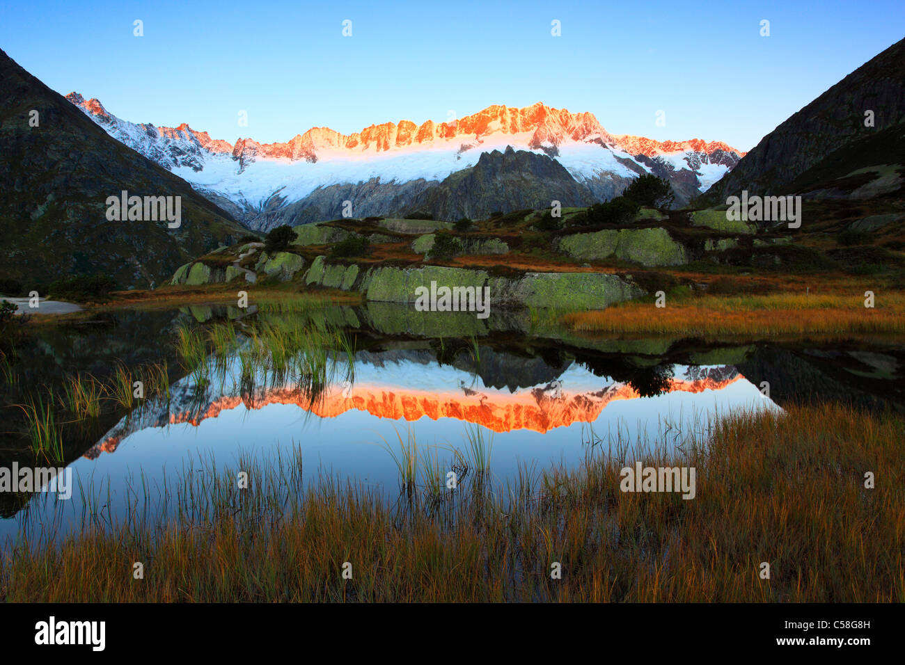 Alps, alpine glow, Alpine panorama, view, panorama, mountains, mountain ...