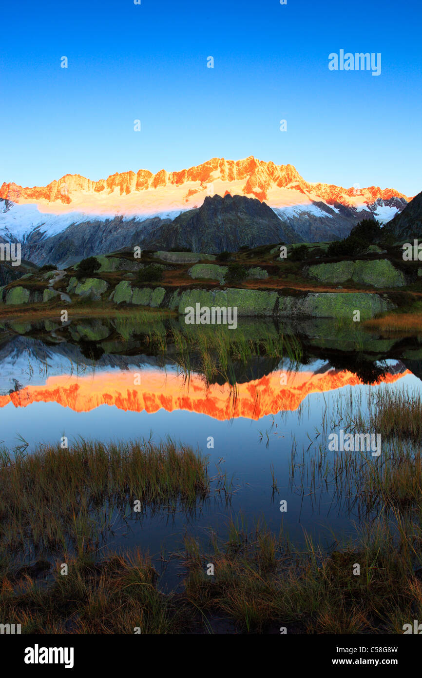 Alps, alpine glow, Alpine panorama, view, panorama, mountains, mountain ...