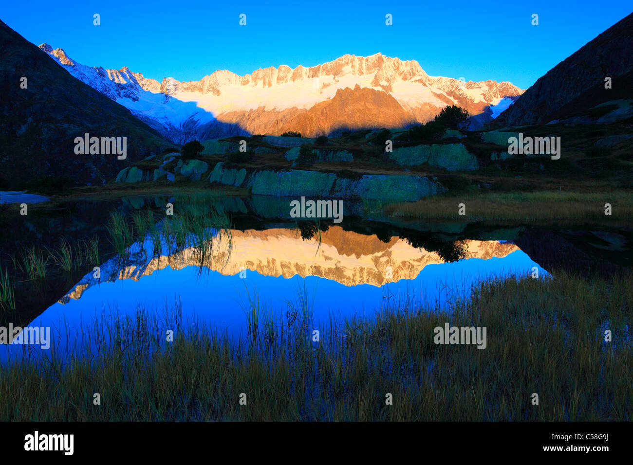 Alps, alpine glow, Alpine panorama, view, panorama, mountains, mountain ...