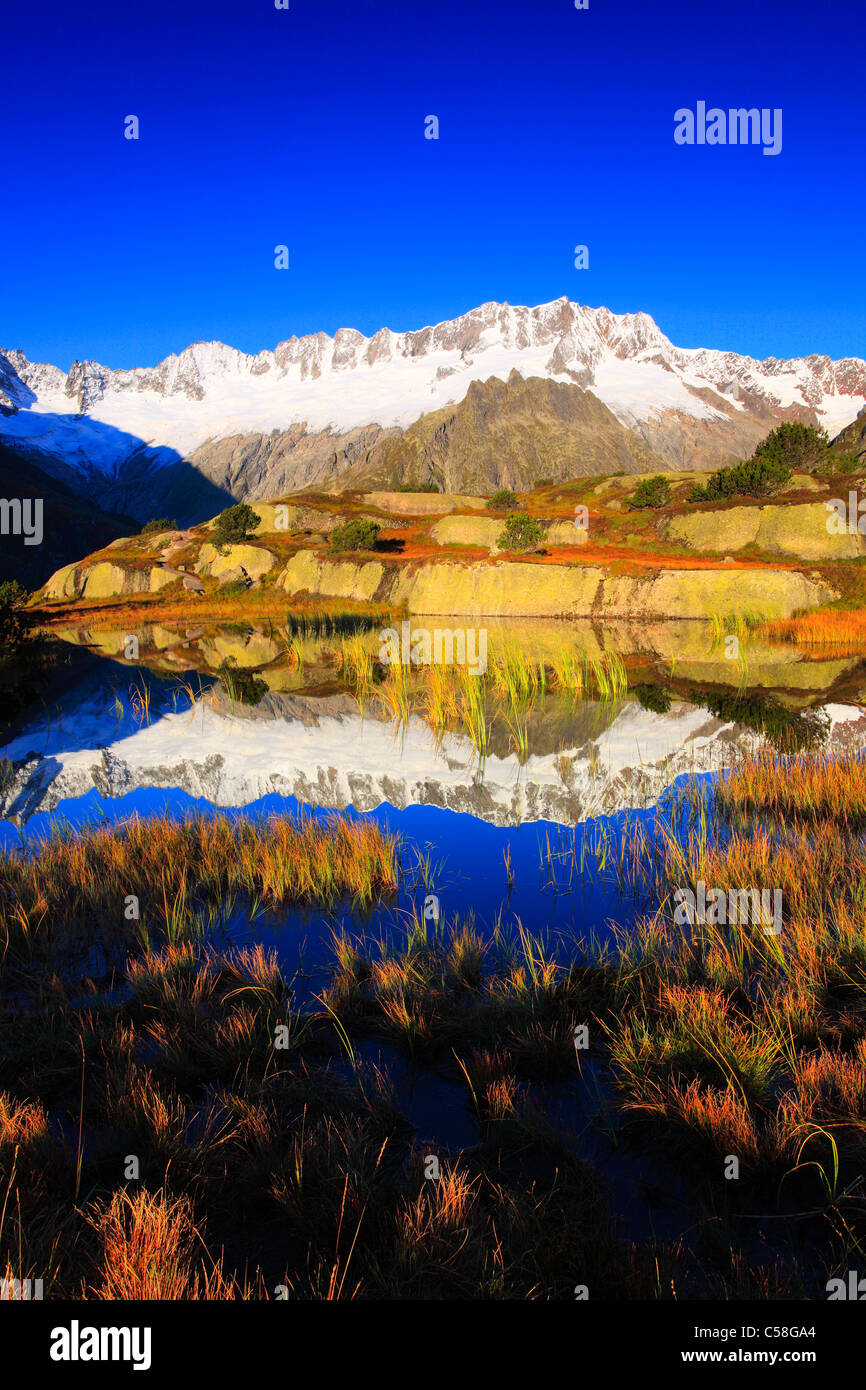 Alps, Alpine panorama, view, panorama, mountains, mountain massif ...