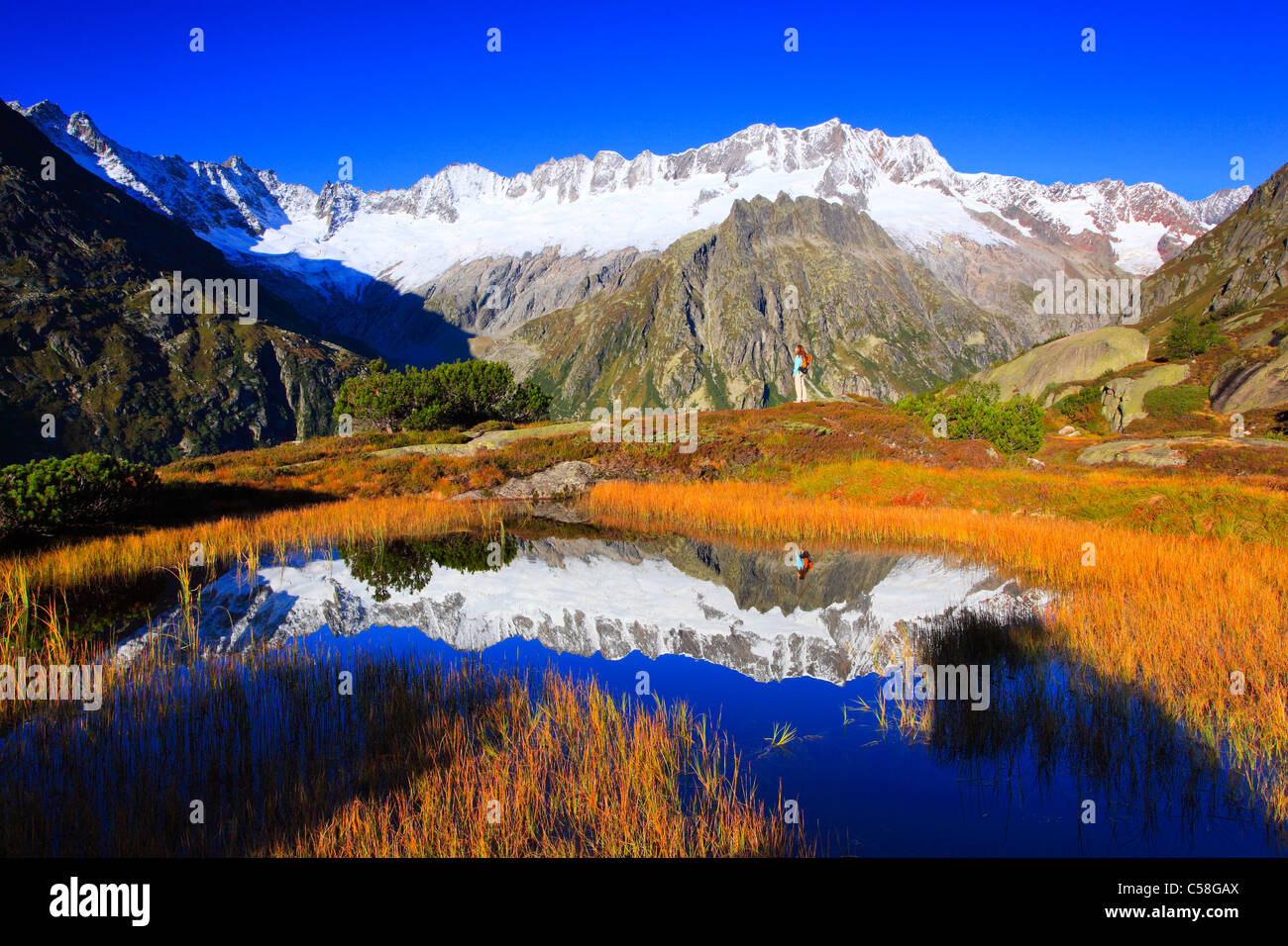 Activity, Alps, Alpine panorama, view, panorama, mountains, mountain ...