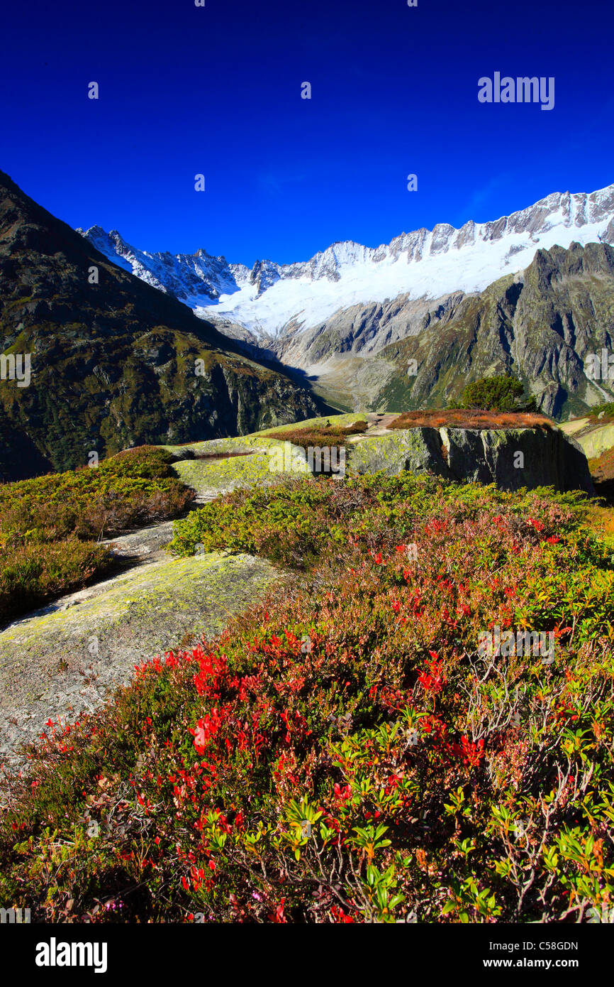 Alps, Alpine panorama, view, panorama, mountains, mountain massif ...