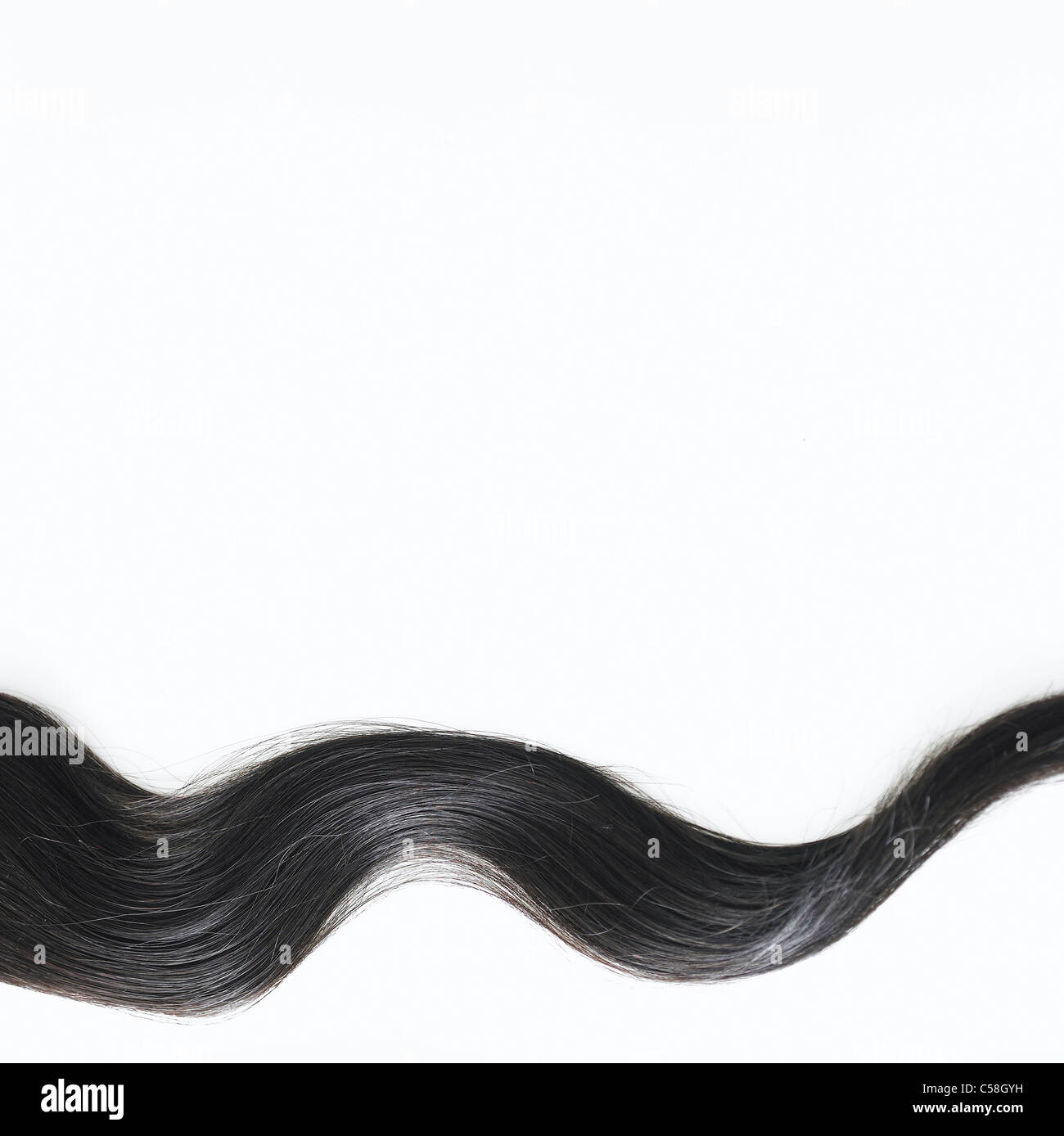 Studio close up black Cut Out Stock Images & Pictures - Alamy