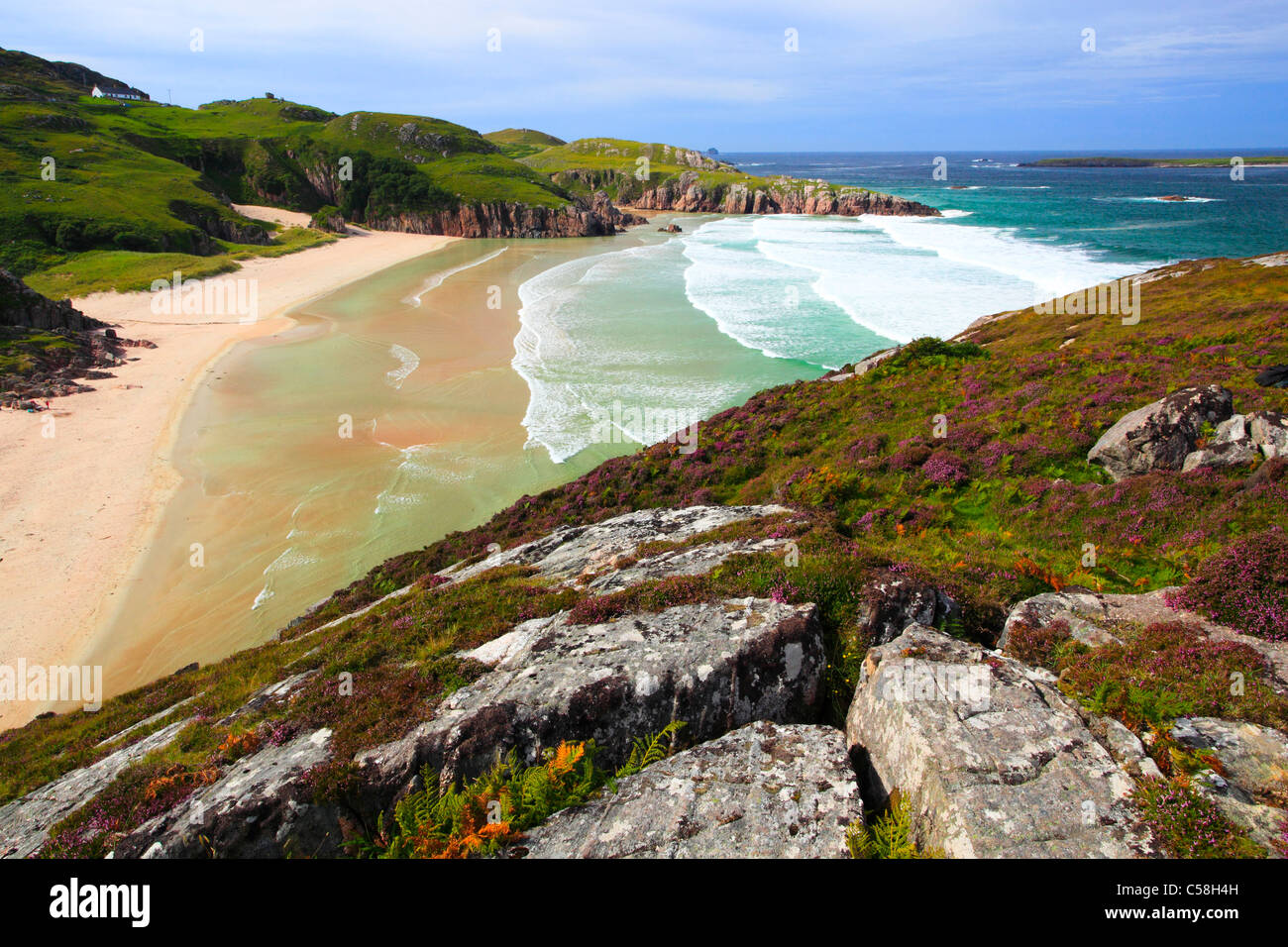 Broom moor, bay, Calluna vulgaris, Durness, Erica, cliff, rock, body of ...