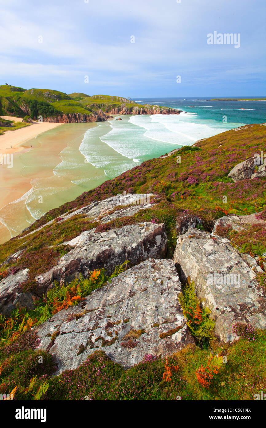 Broom moor, bay, Calluna vulgaris, Durness, Erica, cliff, rock, body of ...