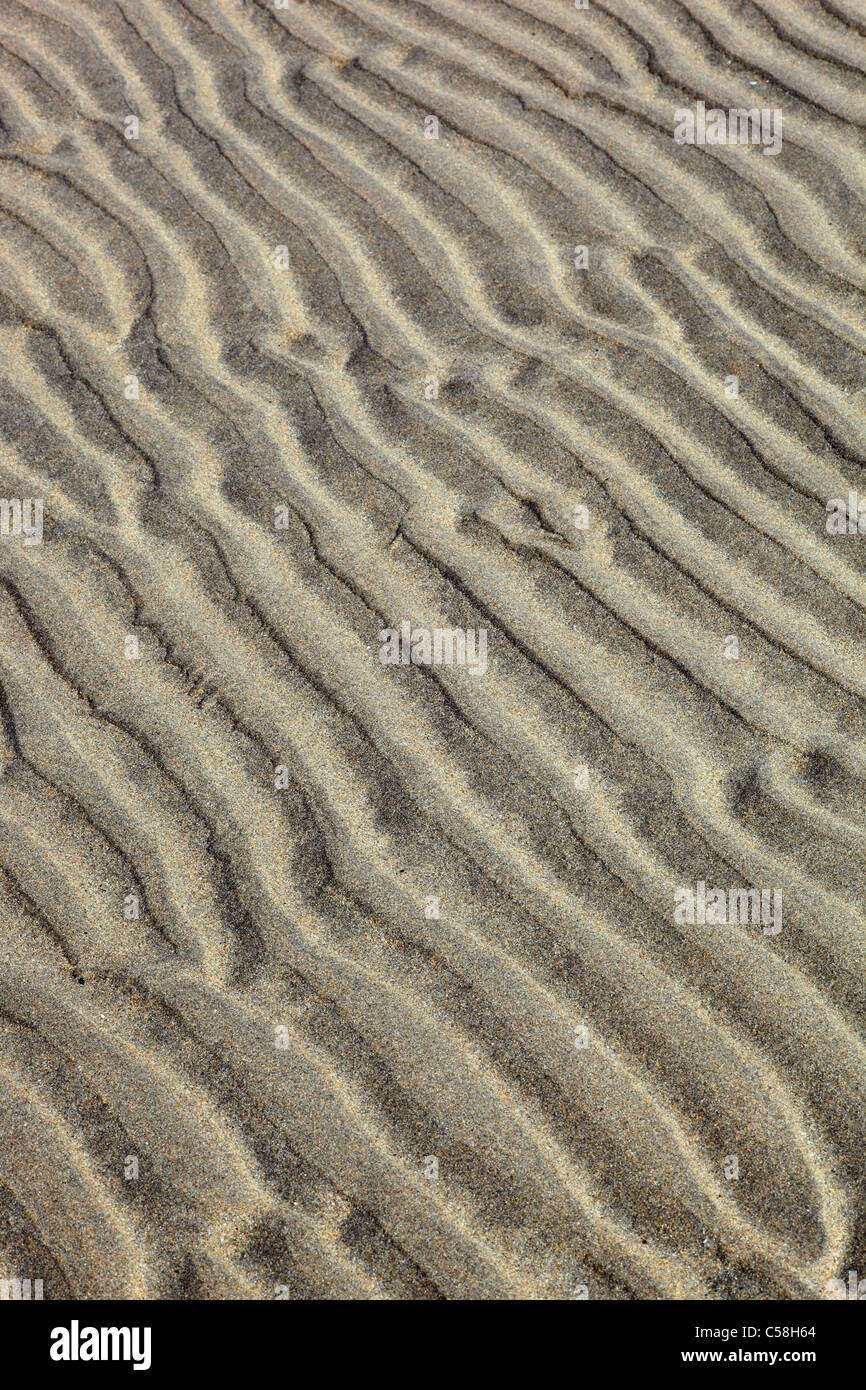 Detail, low, ebb, tide, form, shape, forms, shapes, body of water ...
