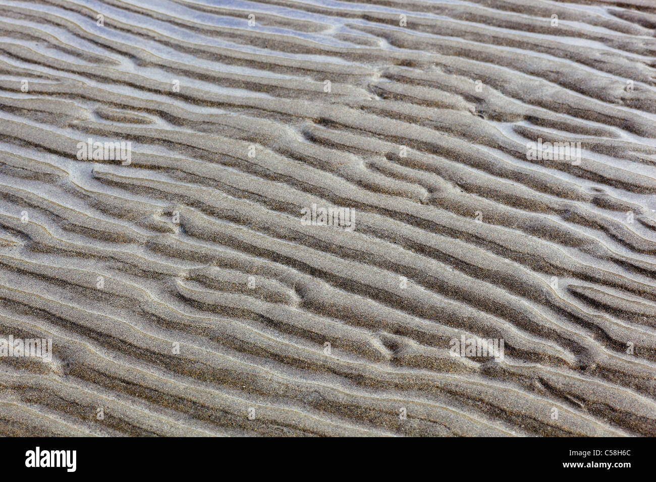 Detail, low, ebb, tide, form, shape, forms, shapes, body of water ...