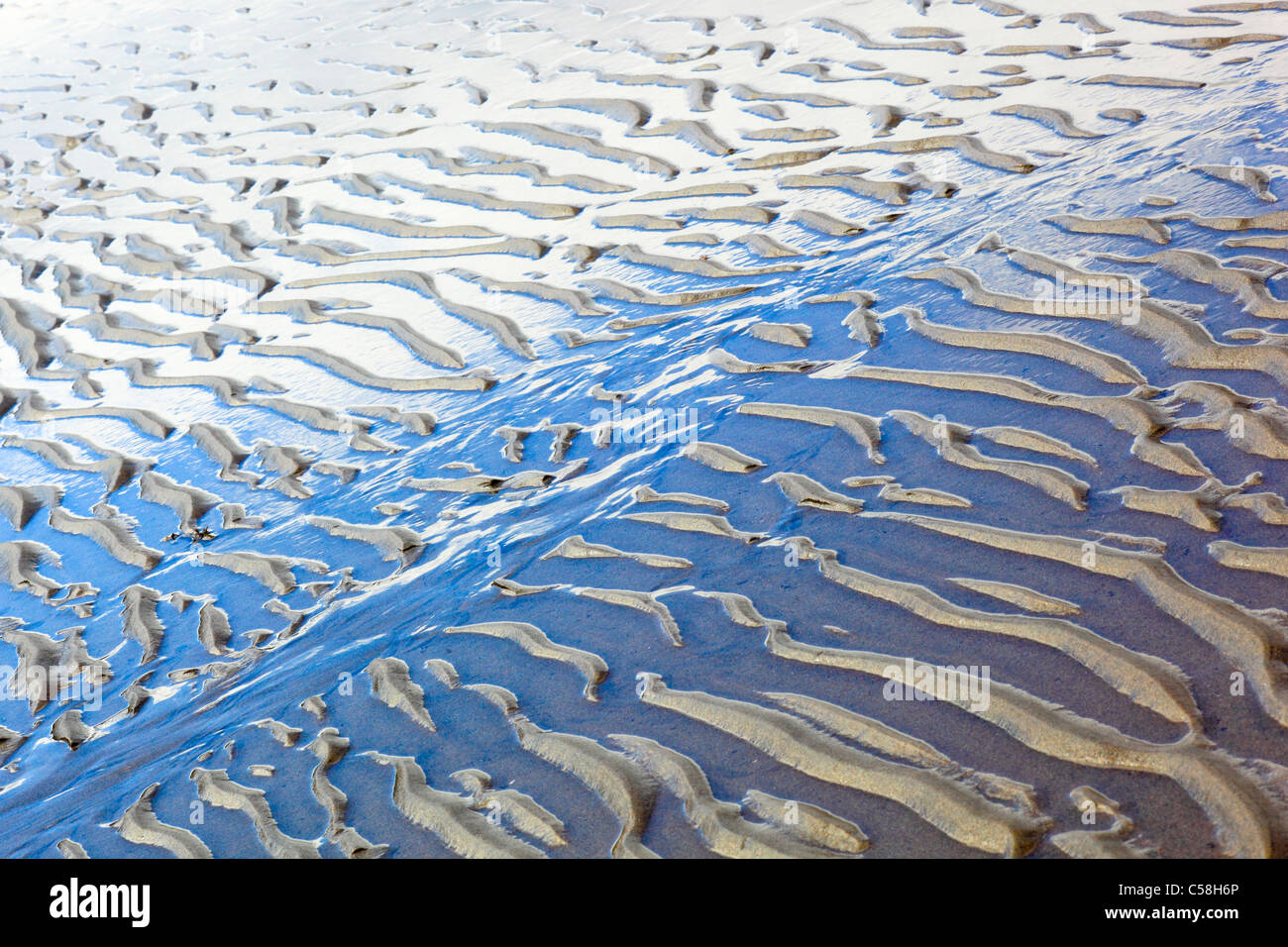 Detail, low, ebb, tide, form, shape, forms, shapes, body of water ...