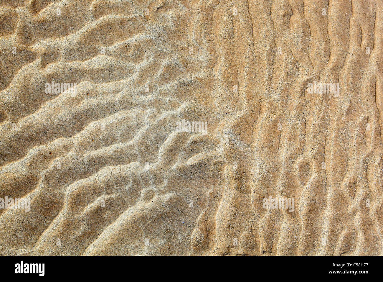 Detail, low, ebb, tide, form, shape, forms, shapes, body of water ...