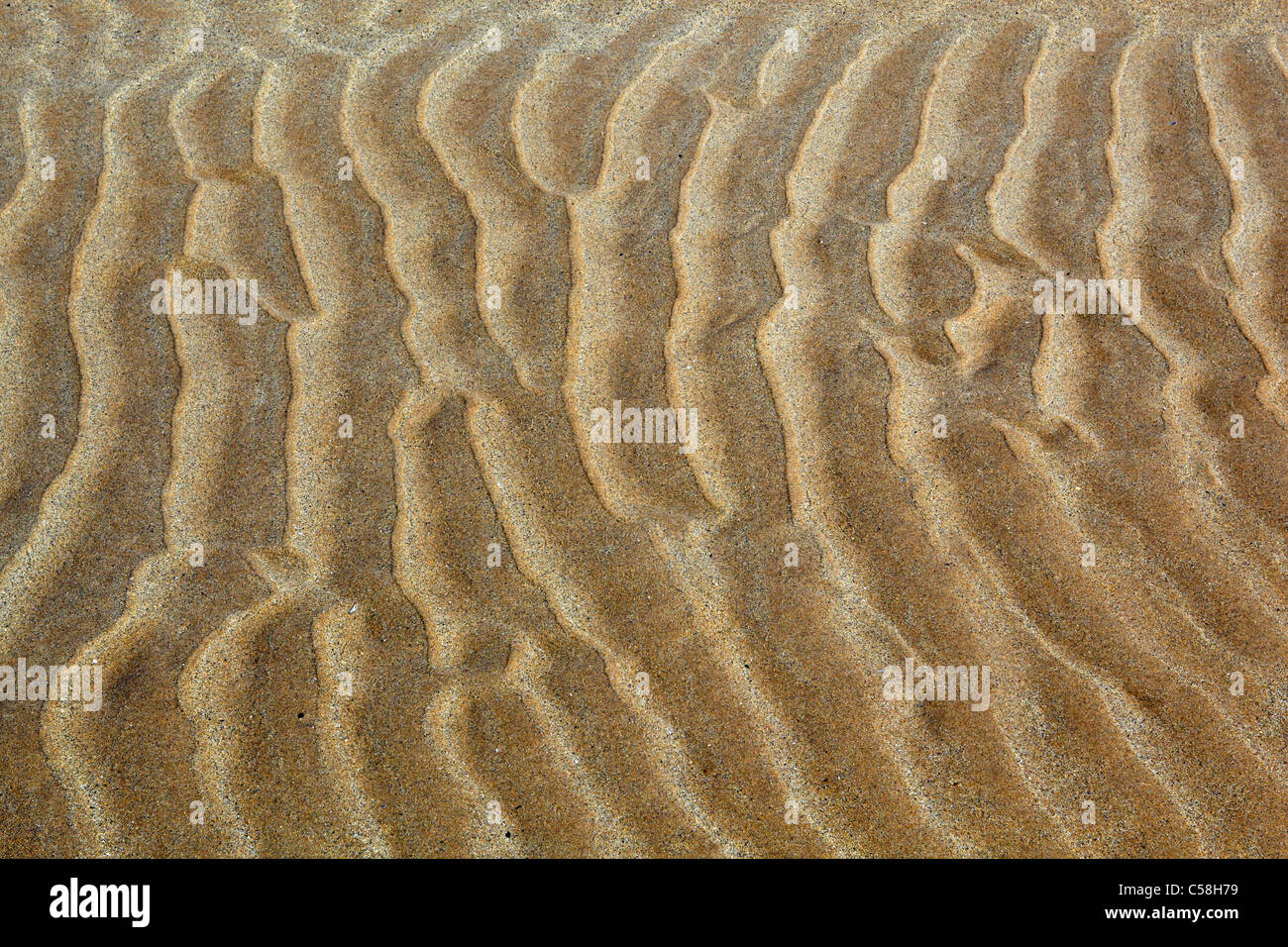 Body shapes hi-res stock photography and images - Alamy