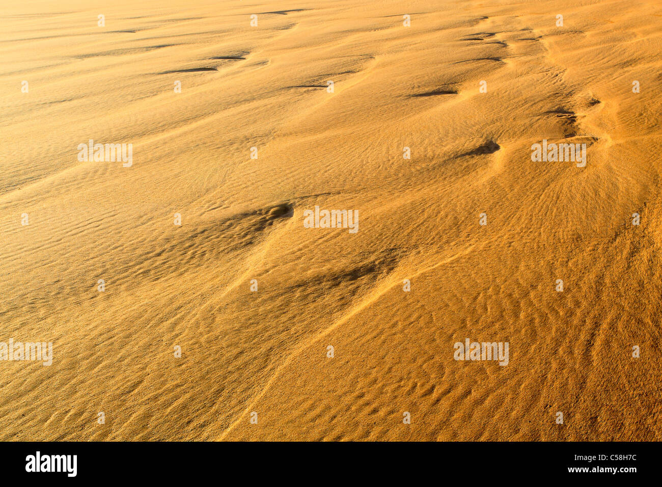 Evening light, detail, low, ebb, tide, form, shape, forms, shapes, body ...