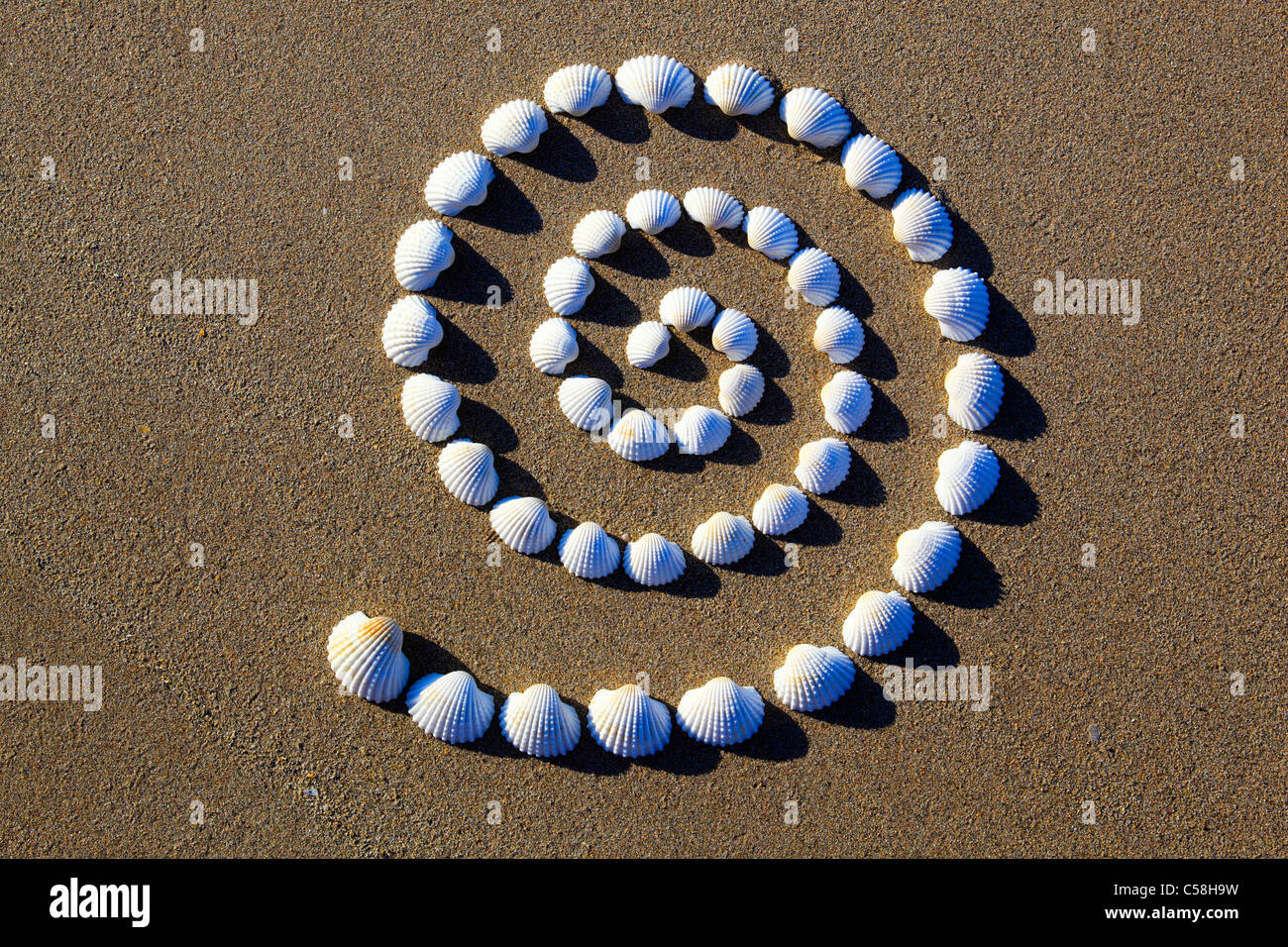 Detail, form, shape, body of water, Great Britain, coast, macro, sea ...