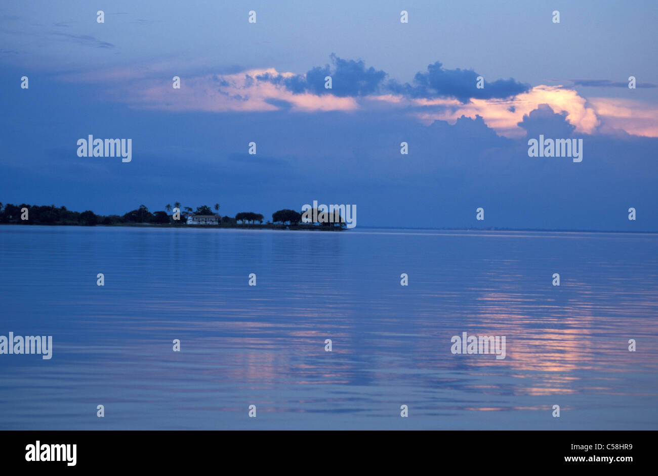 Fazenda Sao Franzisco, Ilha do Marajo, Amazon Delta, Amazonia, Brazil ...