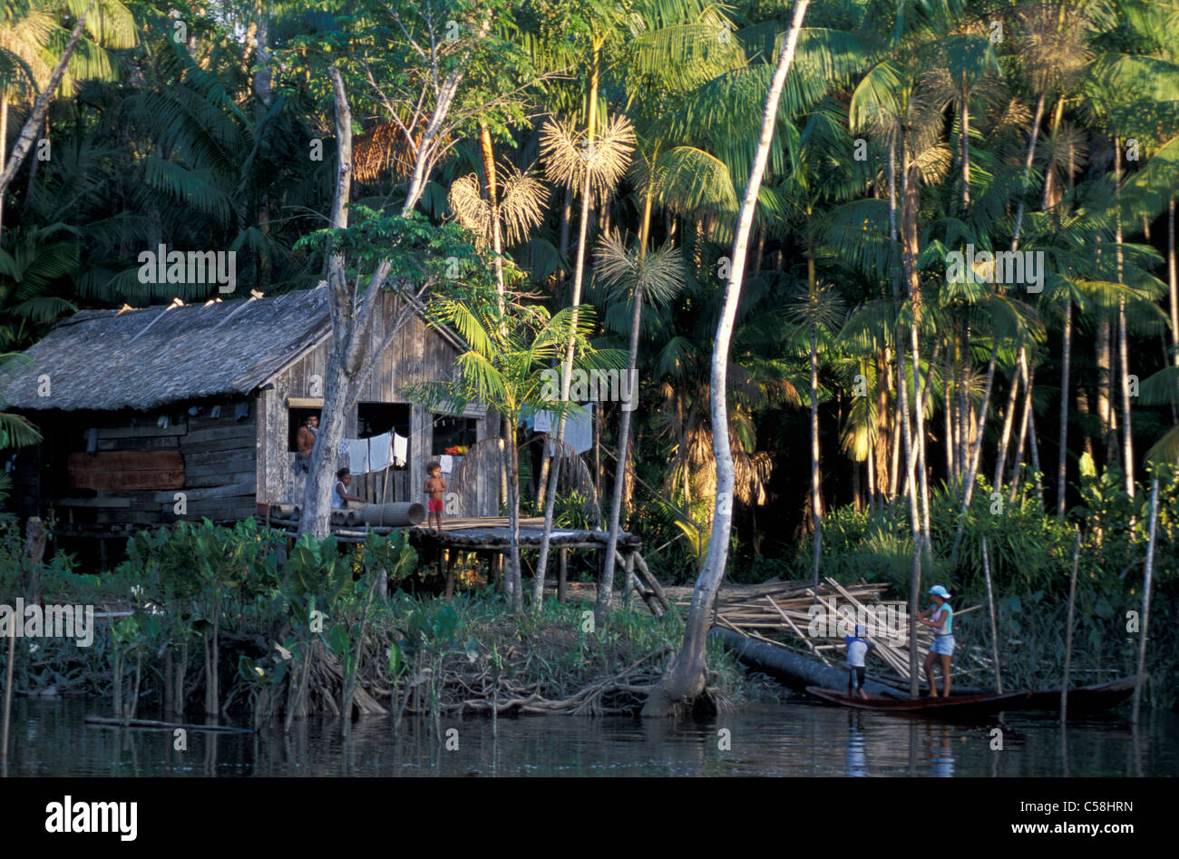 Home, hut, Amazon River, Ilha do Marajo, Amazon Delta, Amazonia, Brazil ...