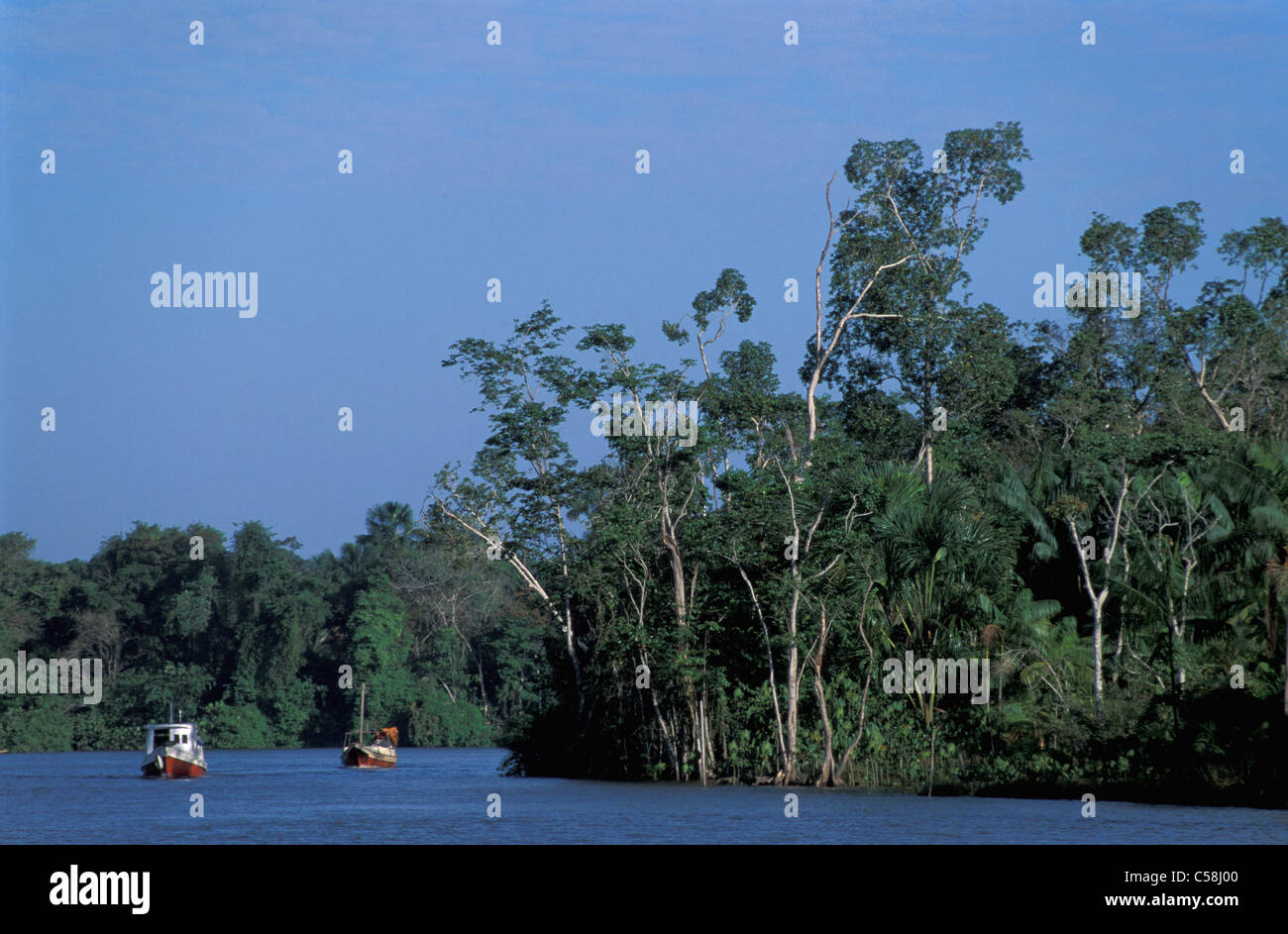 Boats, Amazon River, Ilha do Marajo, Amazon Delta, Amazonia, Brazil ...
