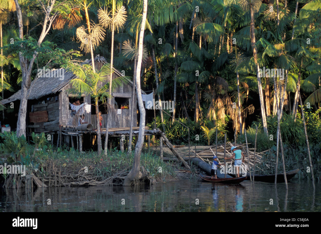 Amazon River, Ilha do Marajo, Amazon Delta, Amazonia, Brazil, South ...